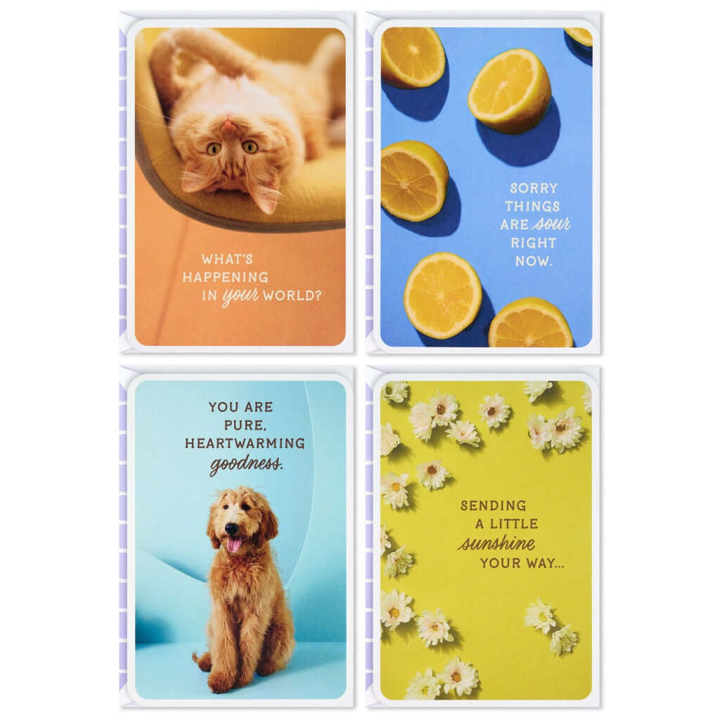 Hallmark : Dog and Cat Cards Pack with Stickers - Annies Hallmark ...