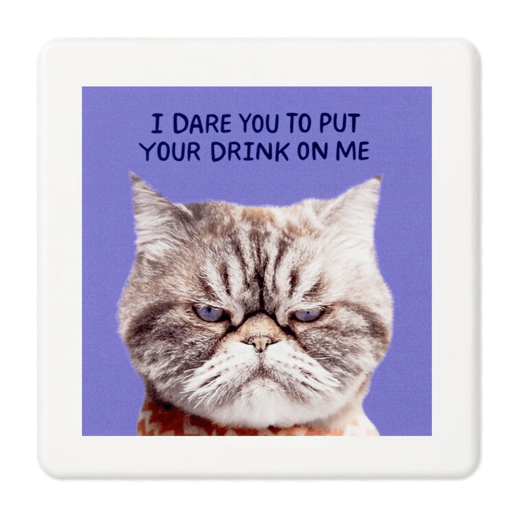 Taylor Swift : Grumpy Kevin the Cat Photo Funny Coaster - Annies ...