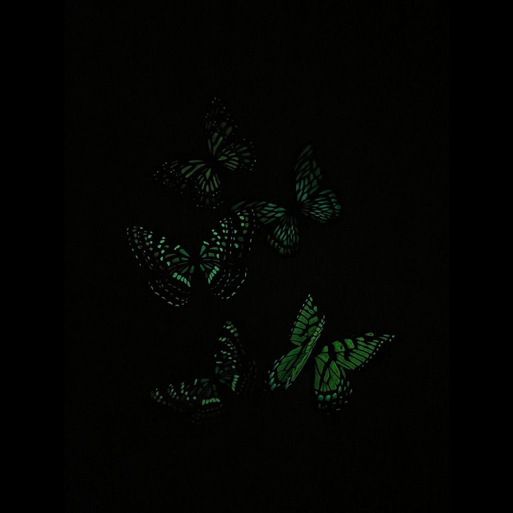 Flutter Gallery : Glow in the Dark Butterfly Magnet - Assorted 1 at ra ...