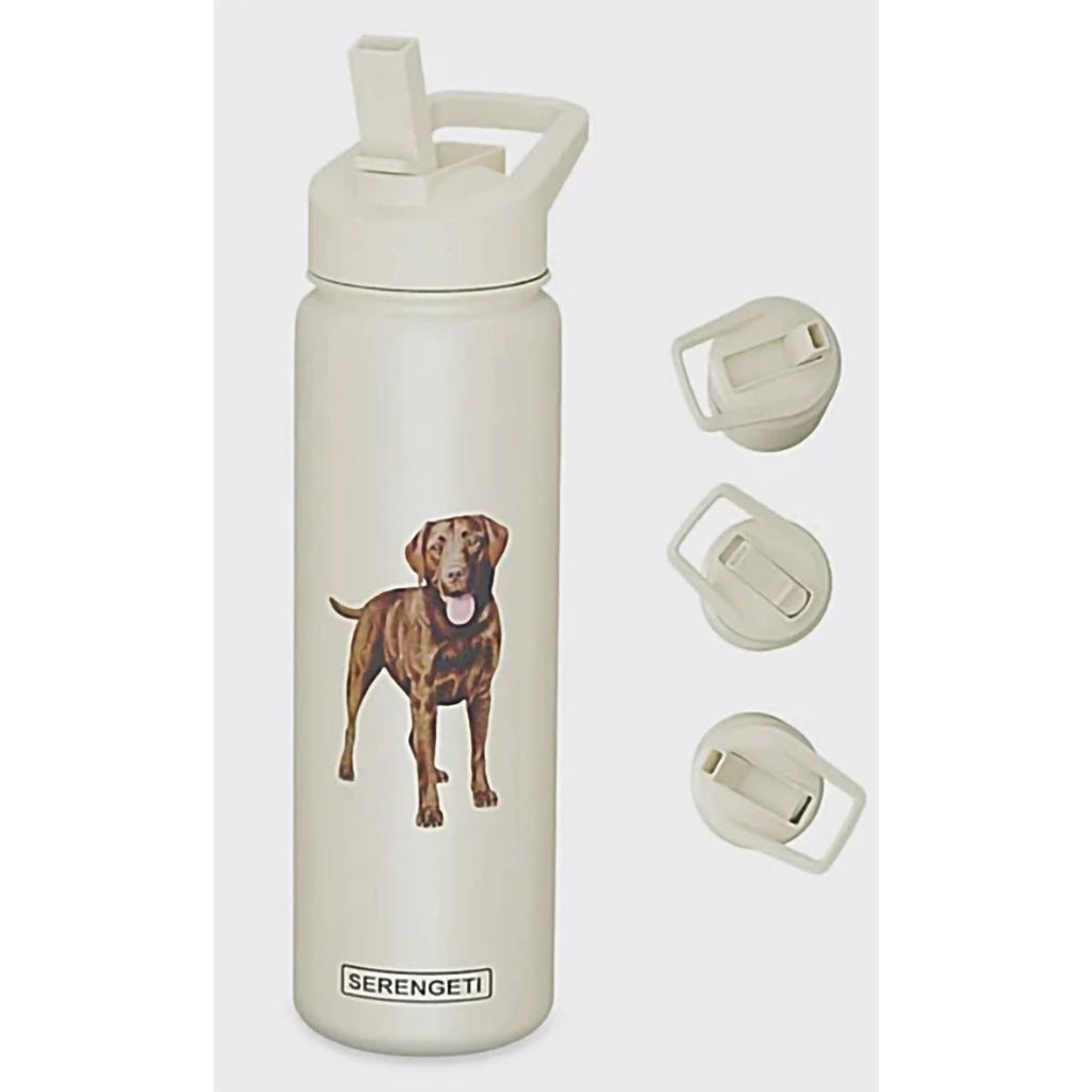 Serengeti: Chocolate Labrador 24 oz Water Bottle – Durable — Annies ...